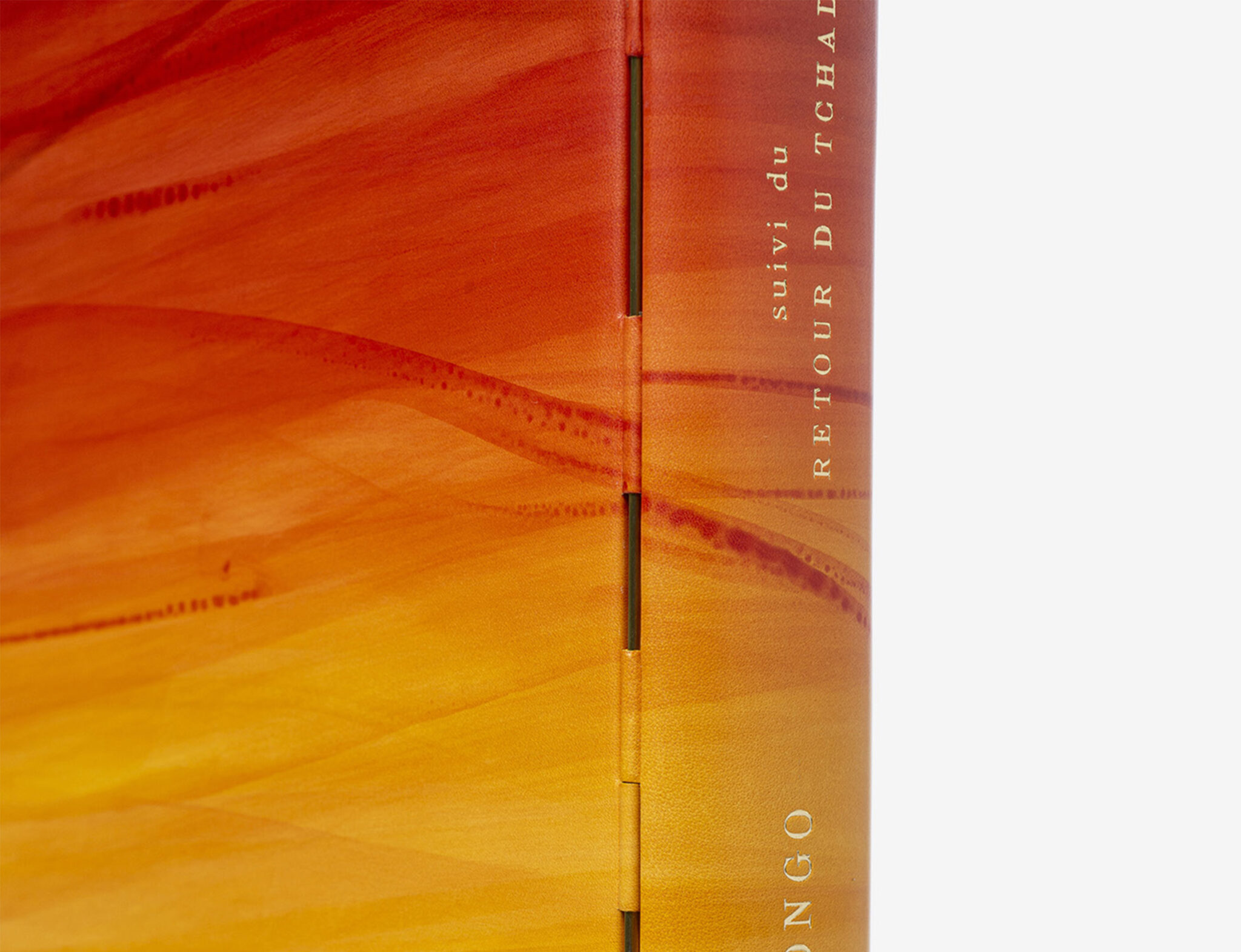 André Gide, "Voyage au Congo" - Reliure à tiges